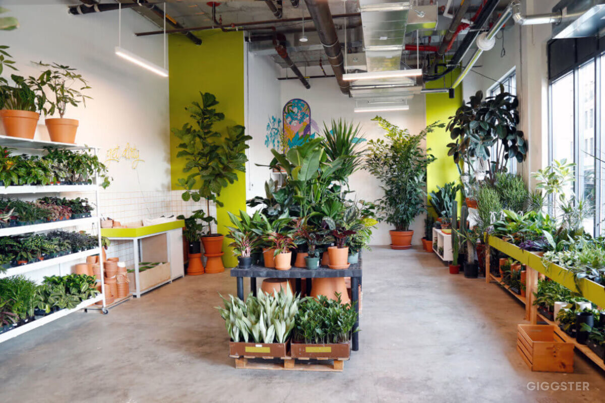 Massive Indoor Plant Shop with Jungle Vibes! | Rent this location on ...