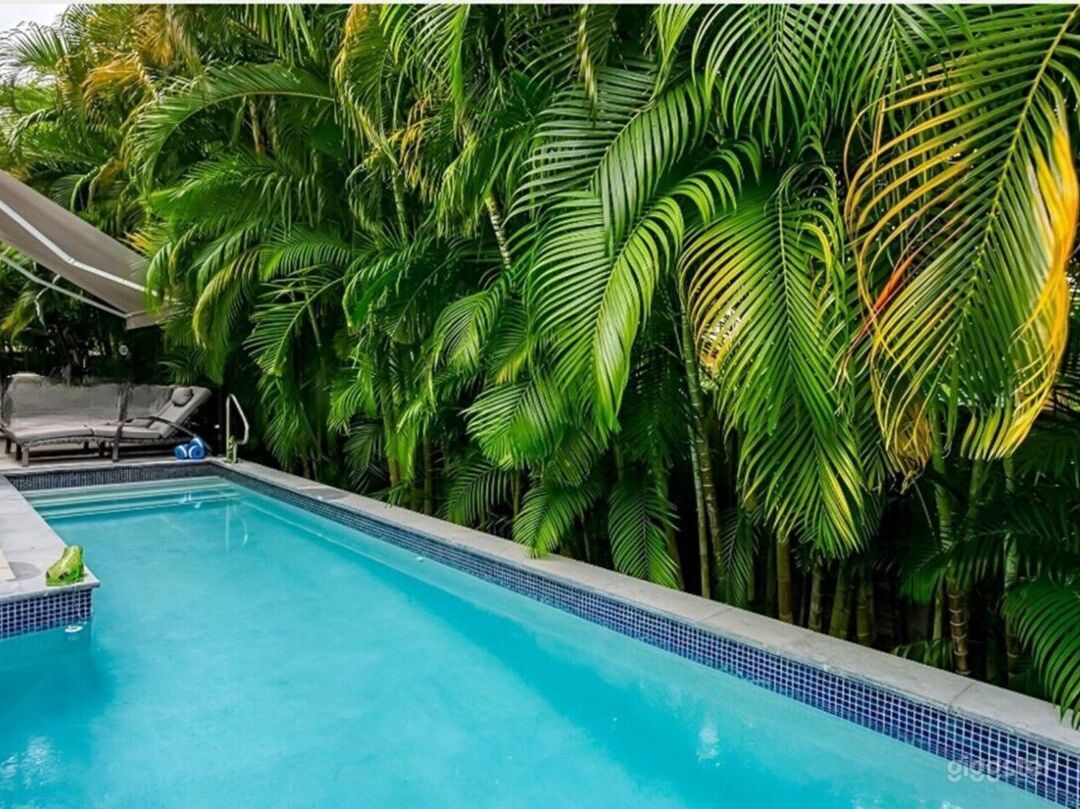 Tropical Poolside Oasis | Rent this location on Giggster