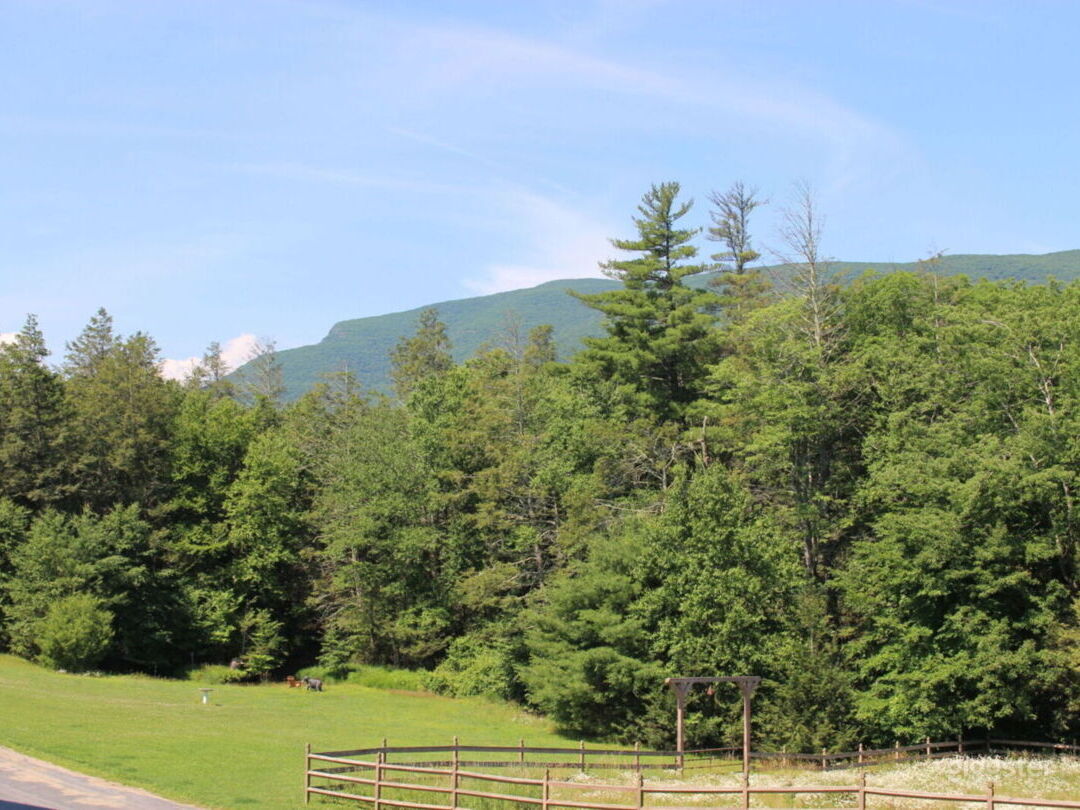 Catskills Farm Location: Animals, Stream & 30 Acres for Film & Events