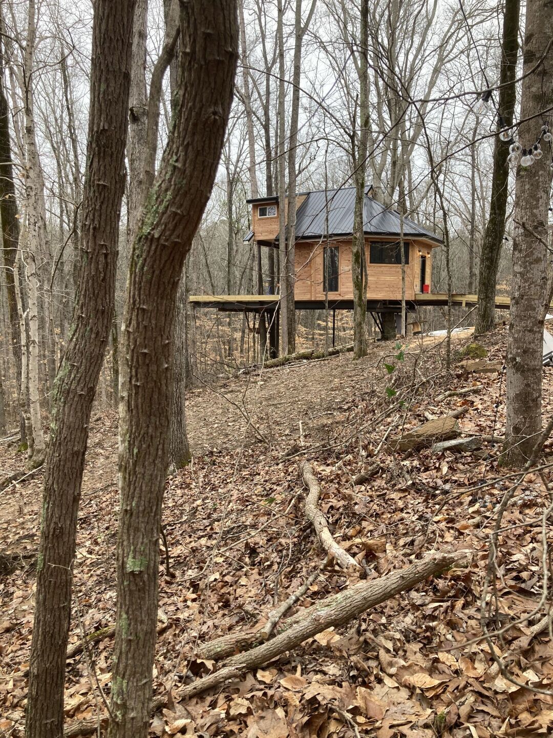 Acreage with old growth forest, house, treehouse | Rent this location ...