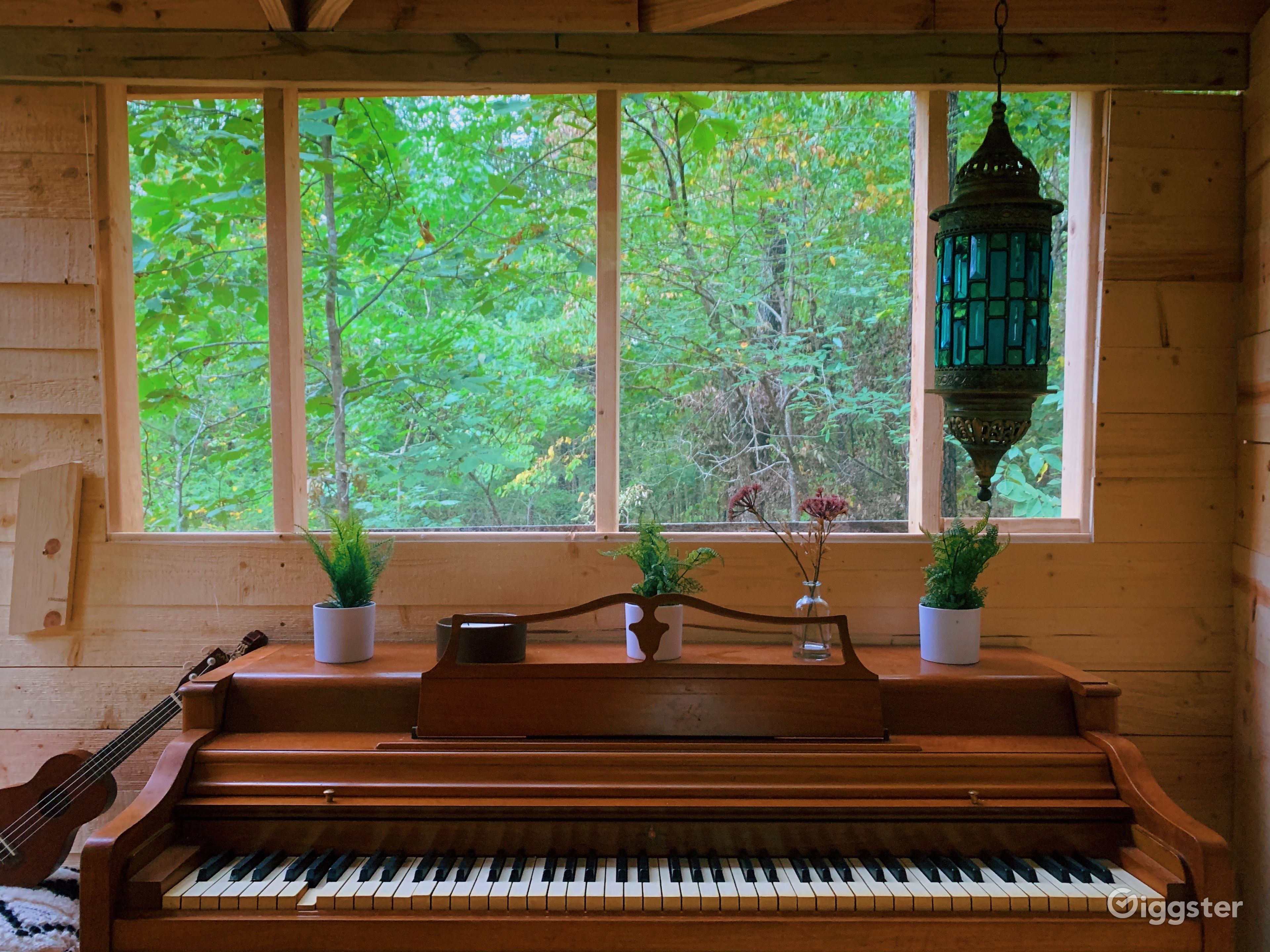 Terrapin Station Mountain Treehouse Compound | Rent this location on ...