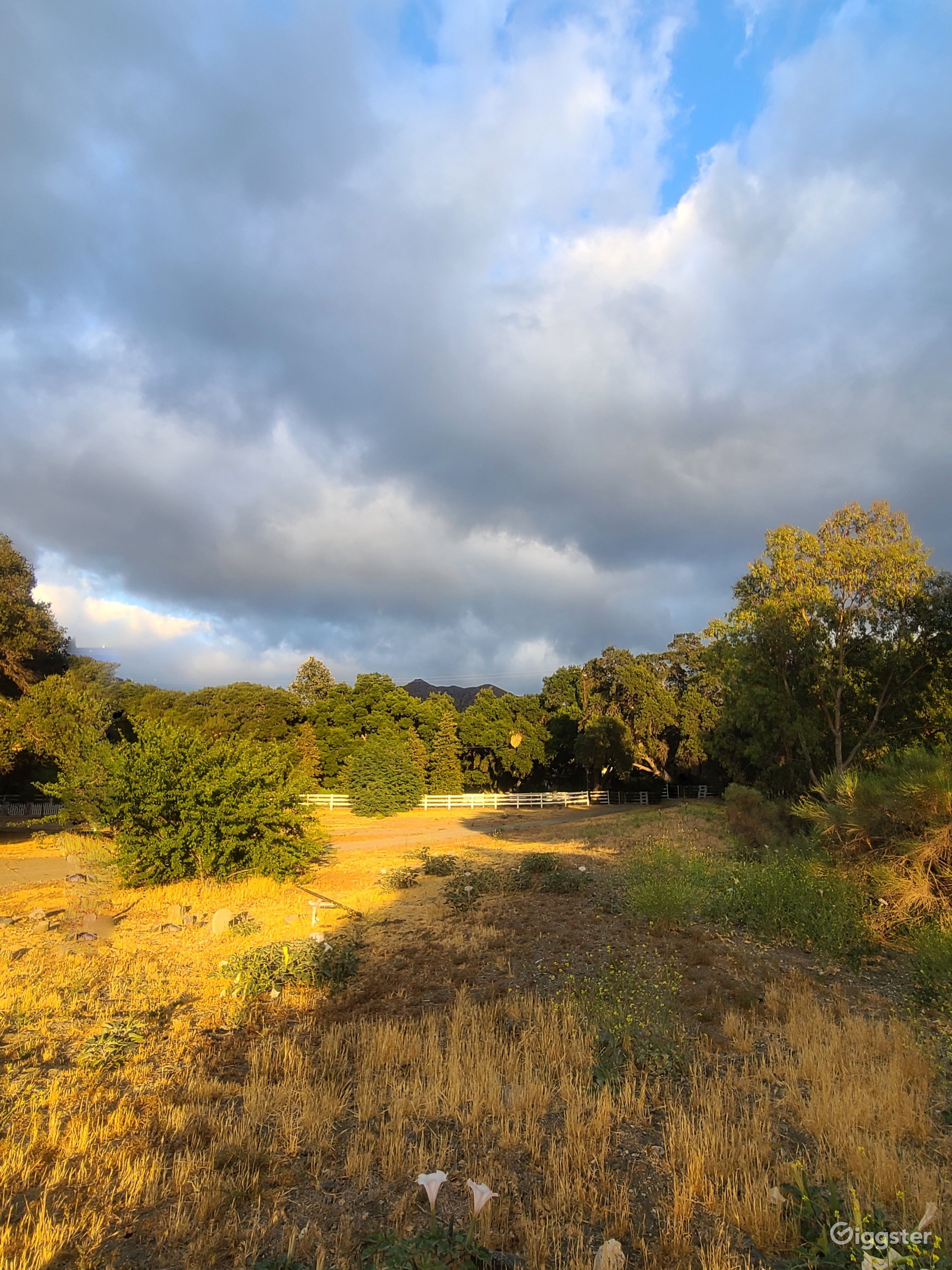 Enchanted Mini Forest with Ranch House and Barns | Rent this location ...