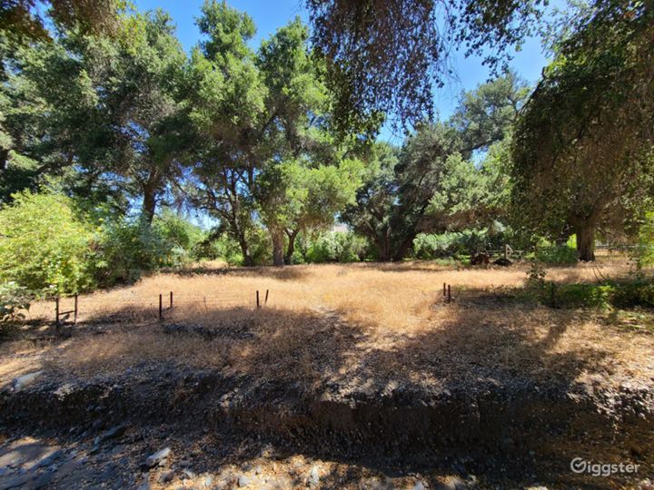 Enchanted Mini Forest with Ranch House and Barns | Rent this location ...