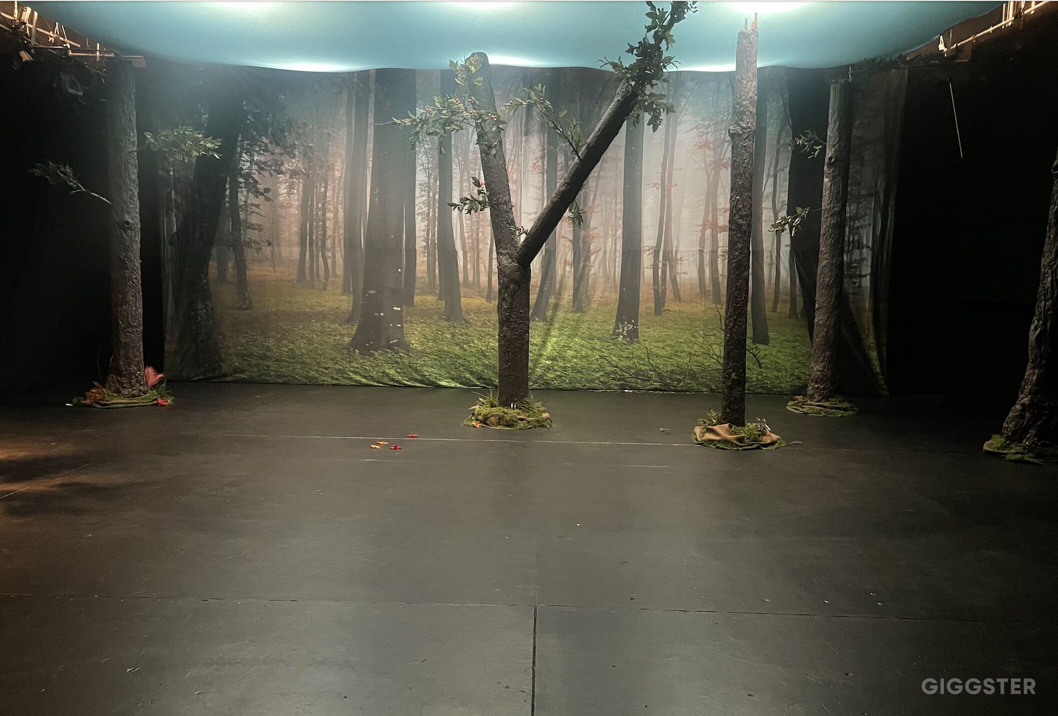 Large Black Void Blackout Stage with Grid | Rent this location on Giggster